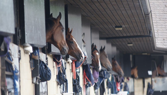 A Boxing Day Double! | O'Neill Racing