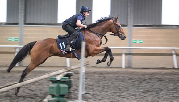 A Boxing Day Double! | O'Neill Racing