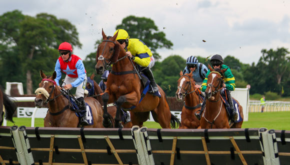 Stable Tours | Tours of Jackdaws Castle | O'Neill Racing
