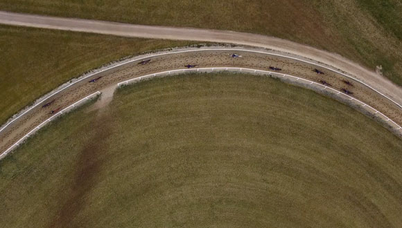 O'Neill Racing | Racehorse Training & Ownership | Beyond Performance