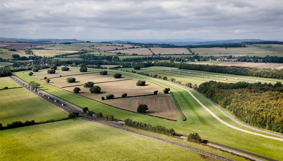 Our History & Heritage | Champion Racehorses | O'Neill Racing