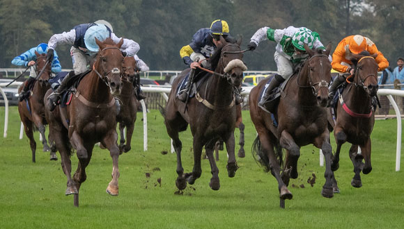 Stable Tours | Tours of Jackdaws Castle | O'Neill Racing